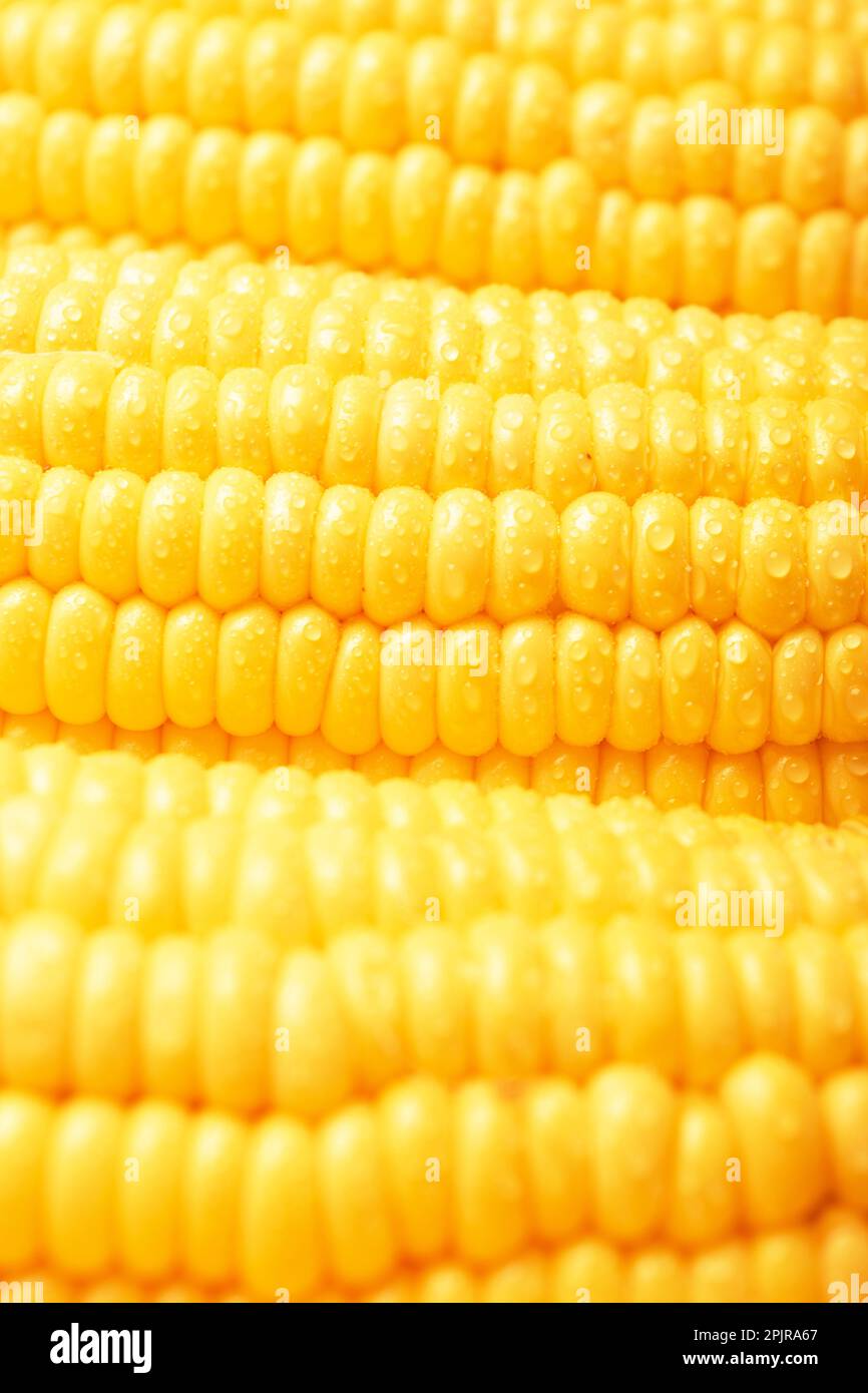 Fresh maize corn texture background Stock Photo - Alamy