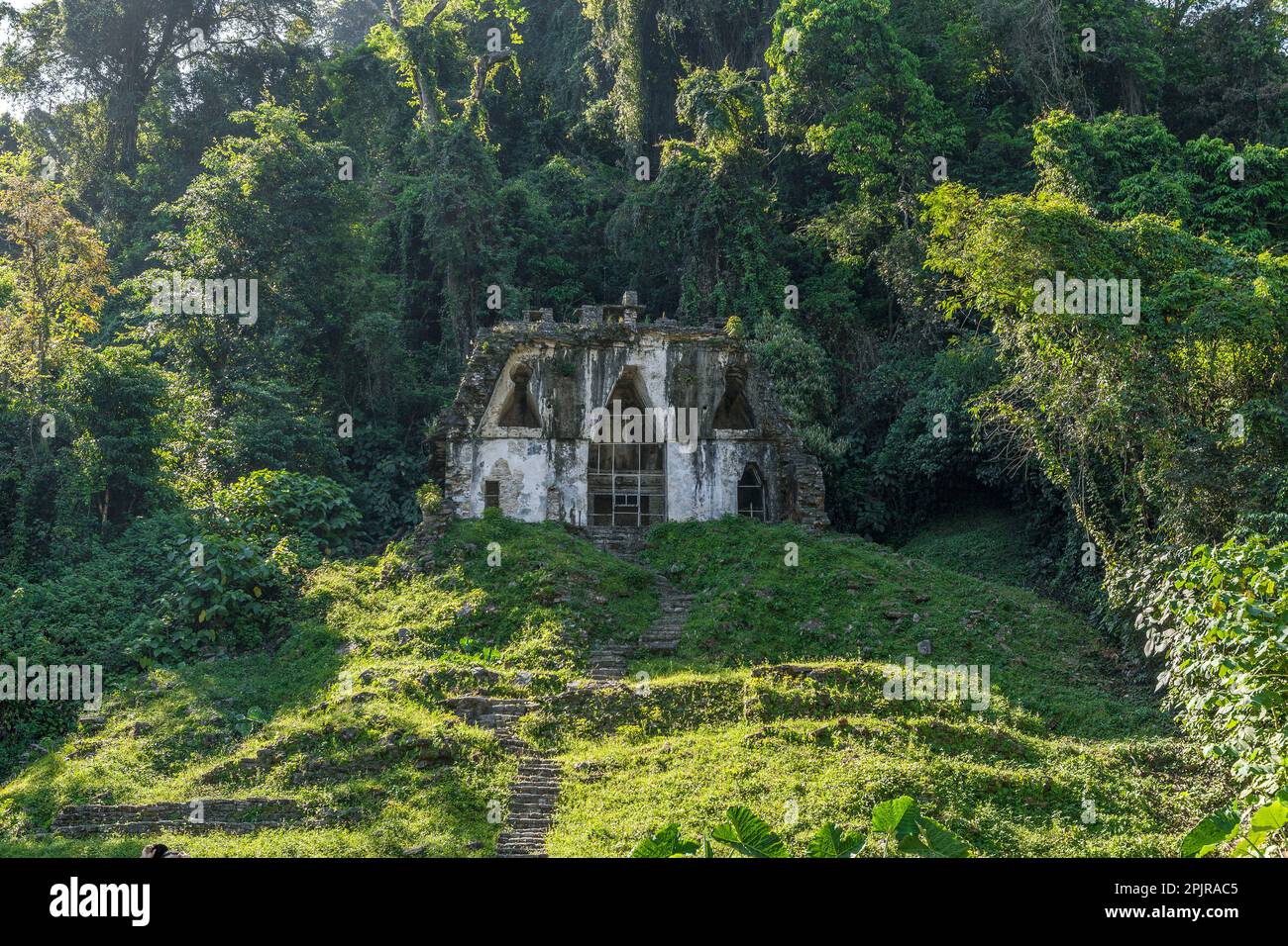 Mayan Temple Cross Section