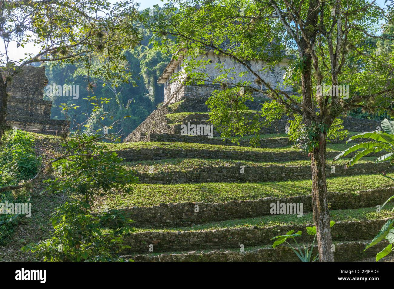 Rear view of the ancient Mayan Temple of the Sun, Palenque, Chiapas ...