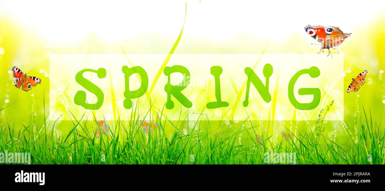 Decorative inscription with letters. Creative spring concept Stock ...