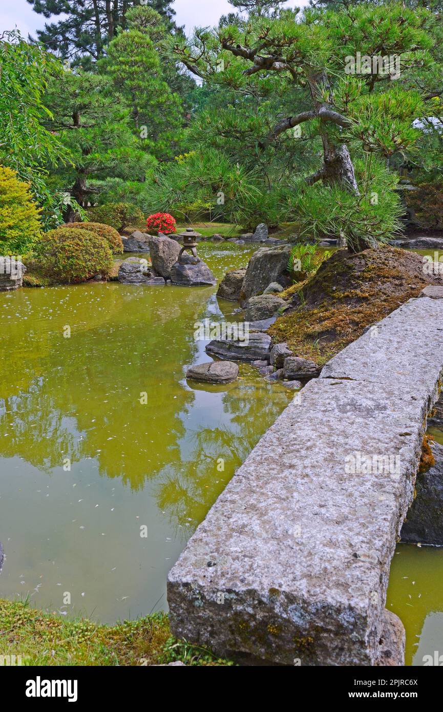 Typical Japanese garden with stone decorations and koi pond ...