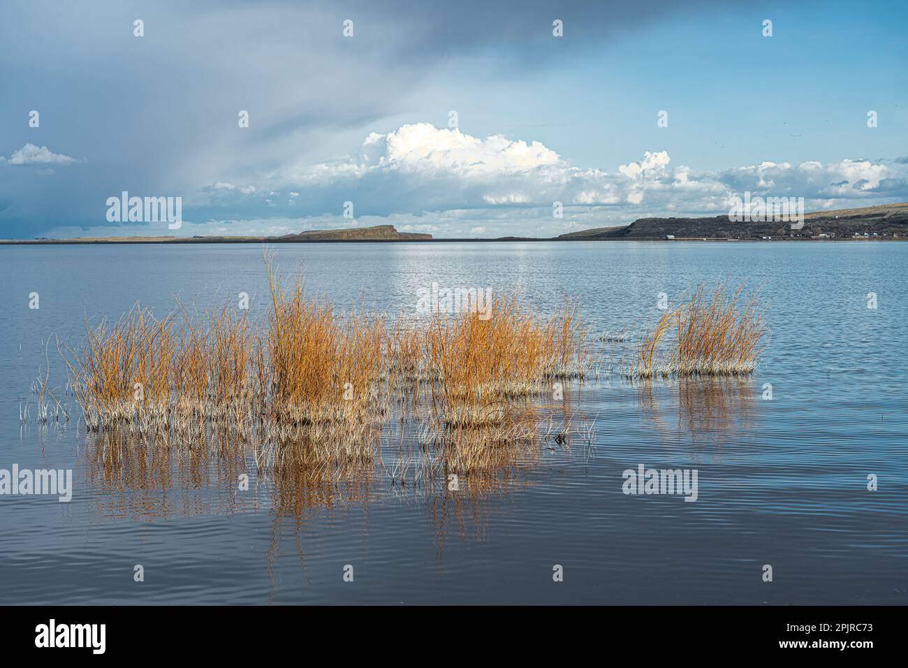 City of moses lake hi-res stock photography and images - Alamy