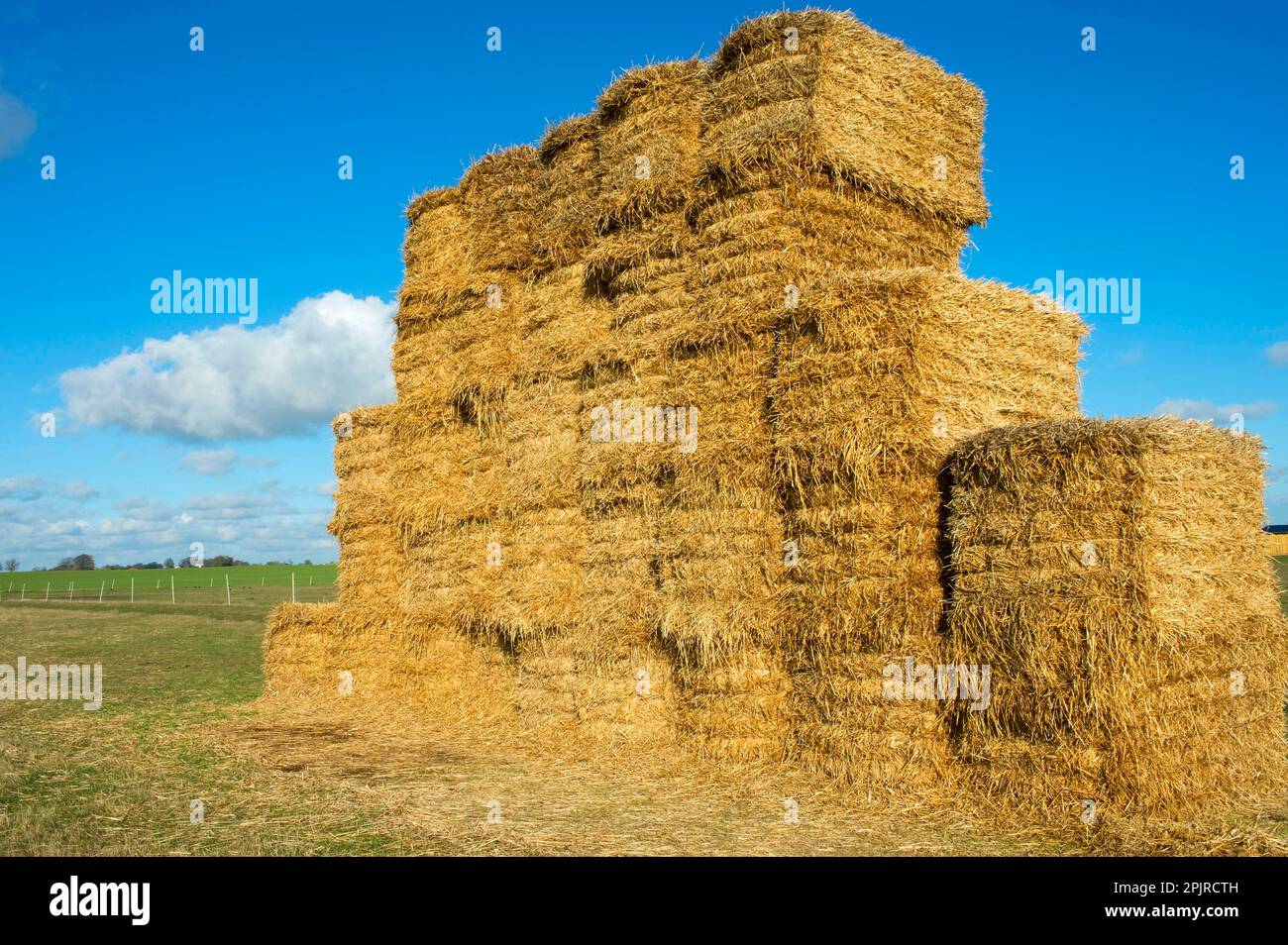 Big bale straw stack in the field, Sweden Stock Photo - Alamy