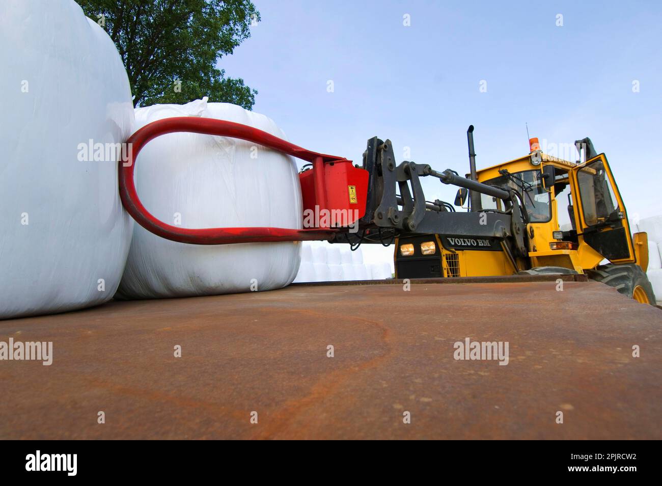 Plastic wrapped round silage bales stacked on trailer with mechanical ...