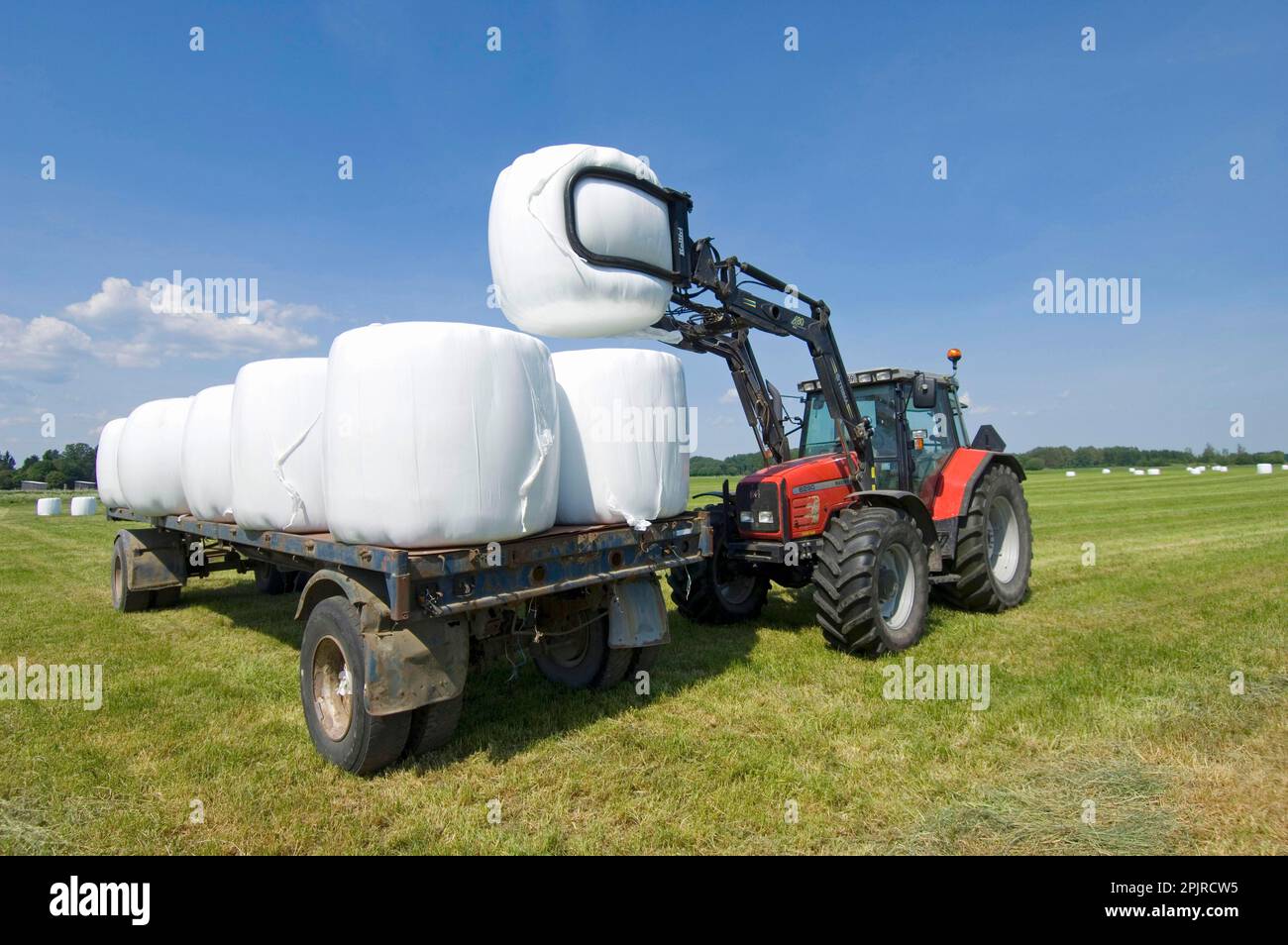 Plastic wrapped round silage bales stacked on trailer with mechanical ...