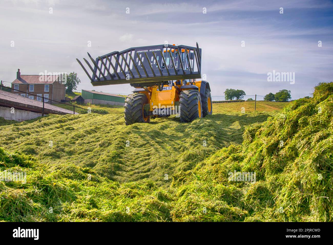 JCB loader compacting grass silage clamp, Grimsargh, Preston ...