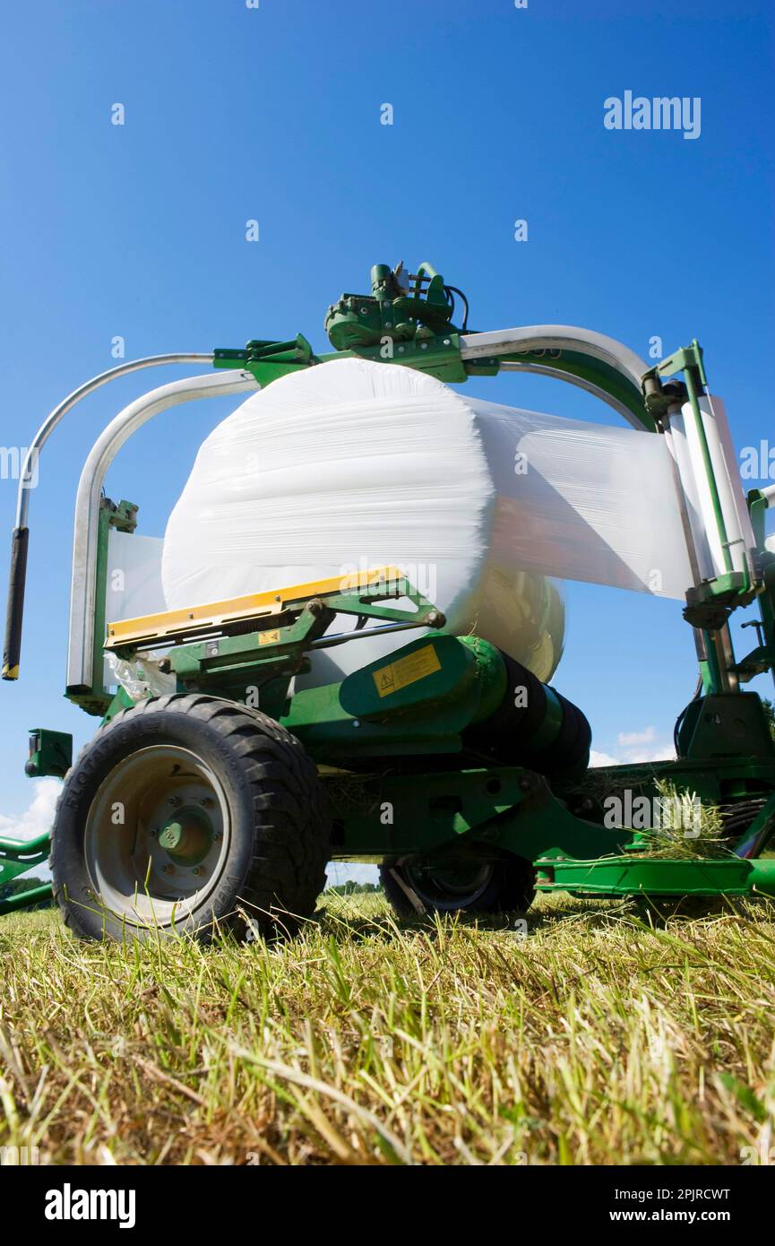 Plastic wrapped round silage bale, wrapped by mechanical bale-wrapper ...
