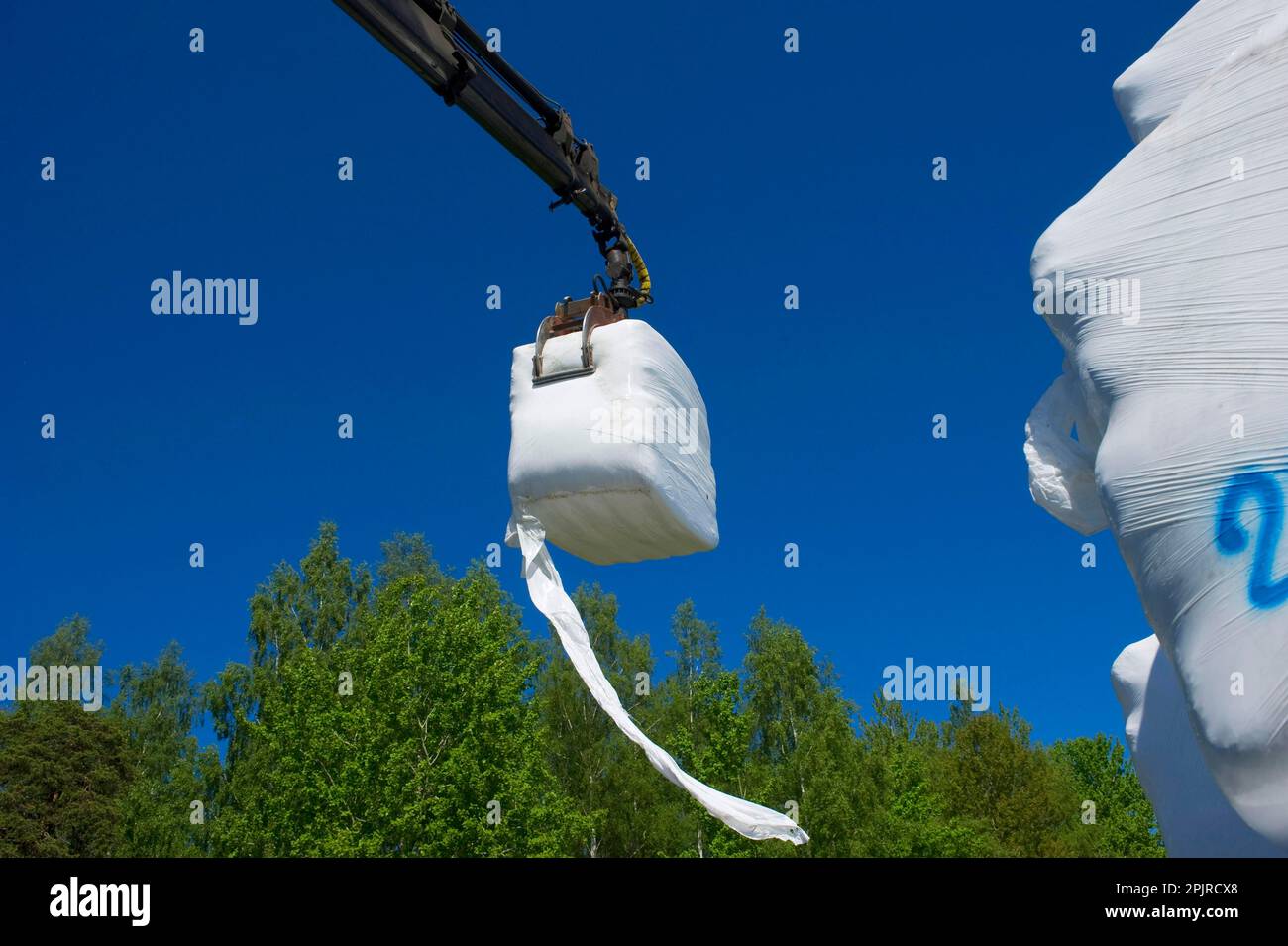 Plastic wrapped silage bales, loaded onto truck with mechanical grab ...