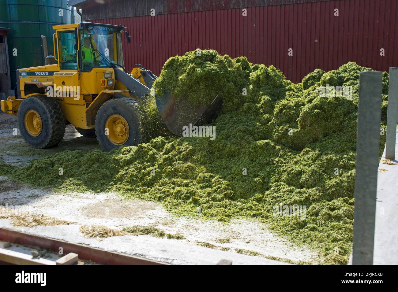 Volvo L70C wheel loader, loading cut grass into silage storage tower ...