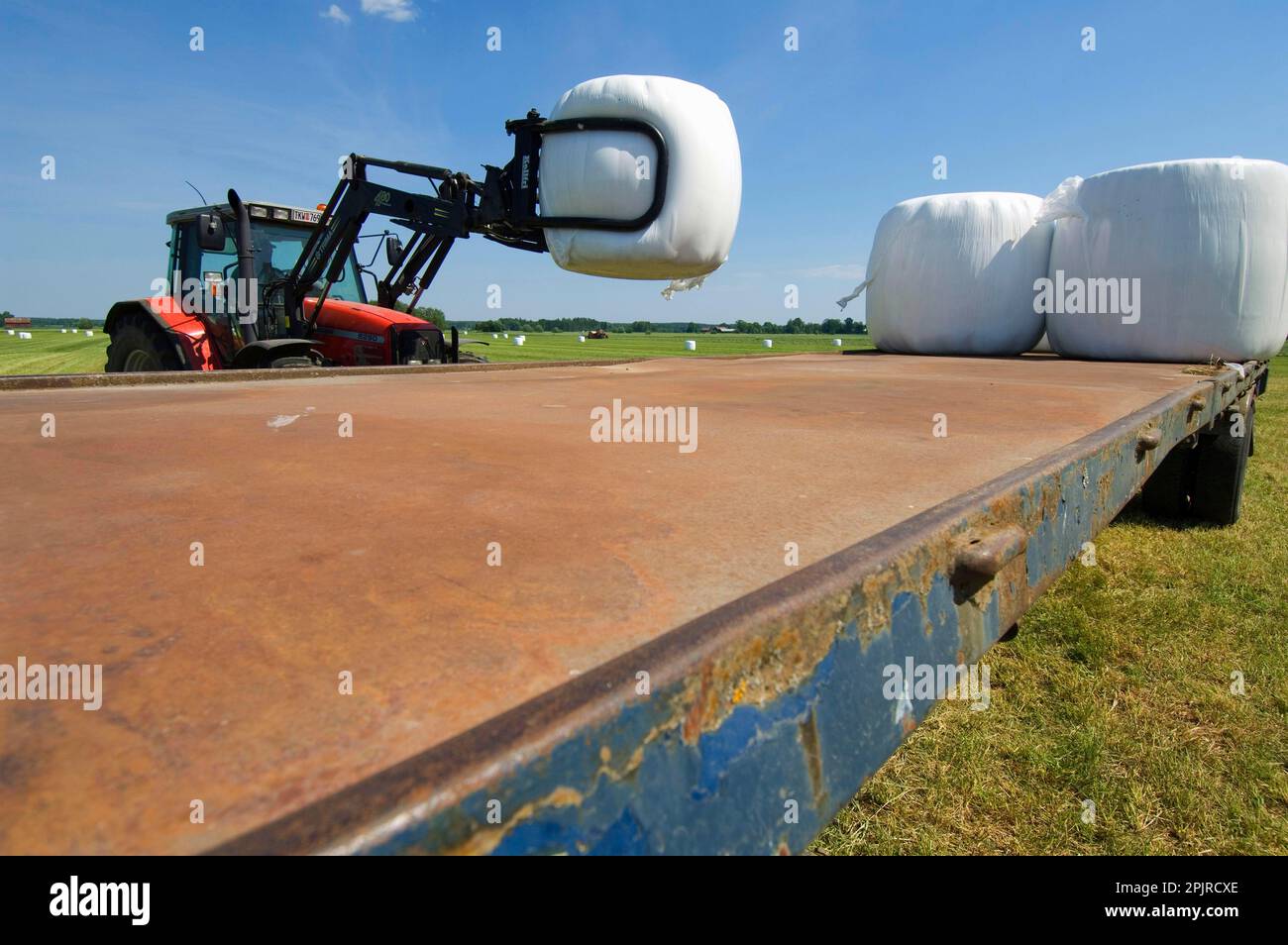 Plastic wrapped round silage bales stacked on trailer with mechanical ...