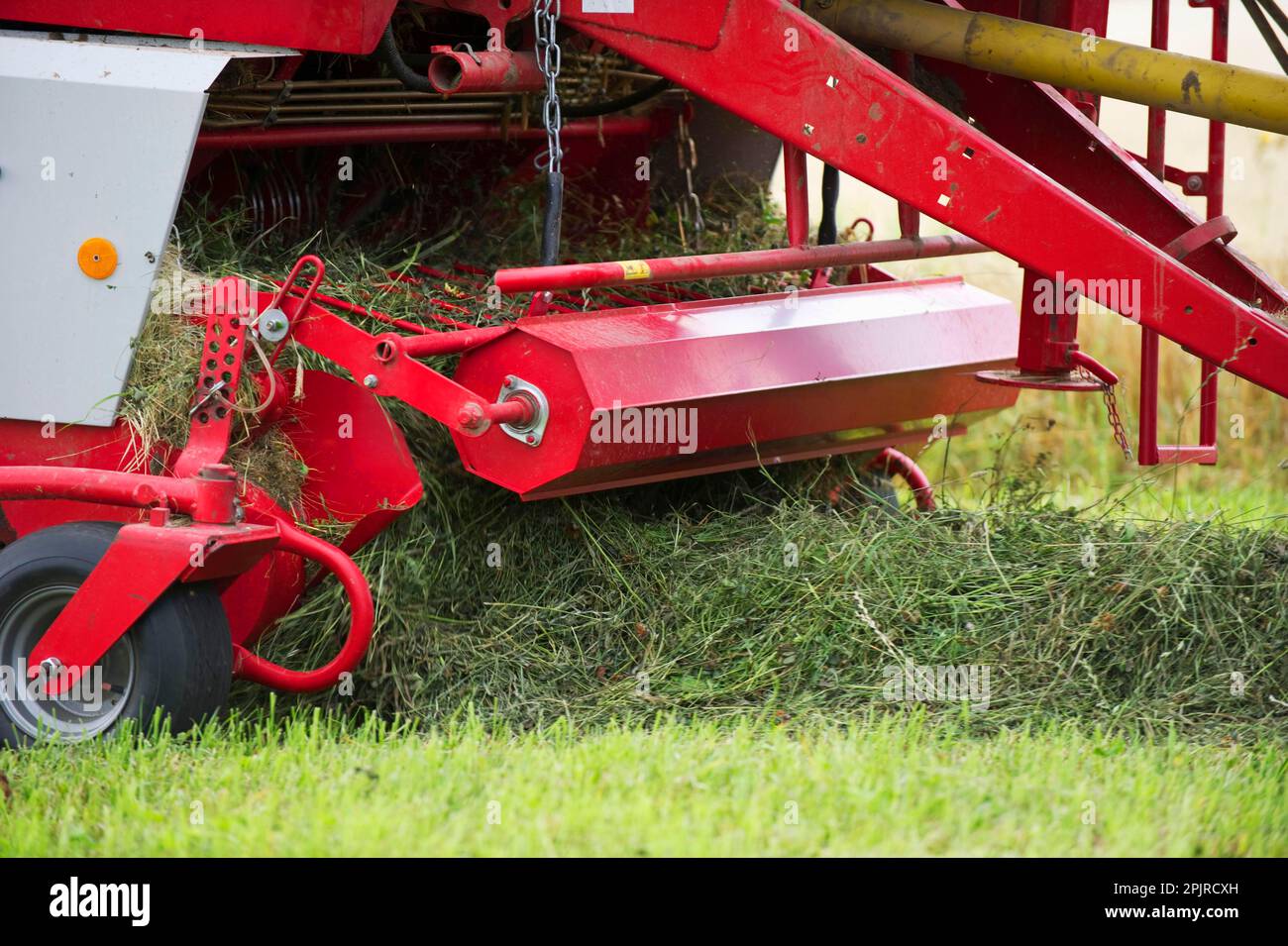 Silage crop, round baler taking up cut grass to make bale, Sweden Stock ...