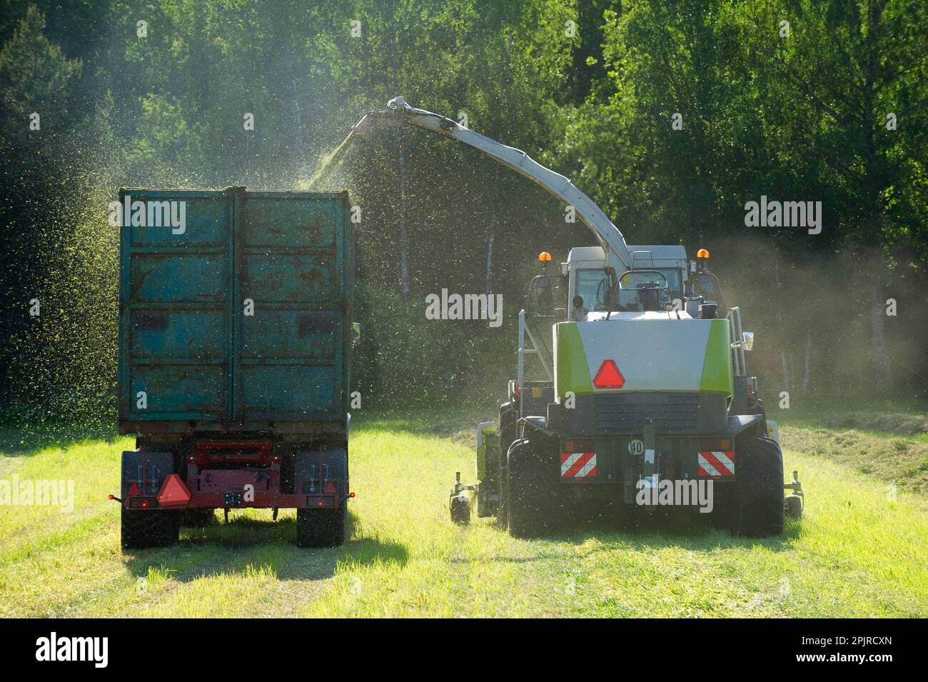 Claas Jaguar 850 forage harvester, cutting grass for silage and loading ...