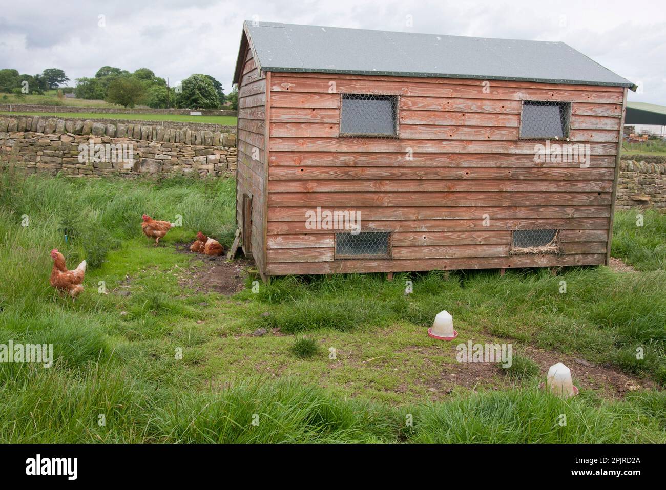 Chicken coop house hi-res stock photography and images - Alamy