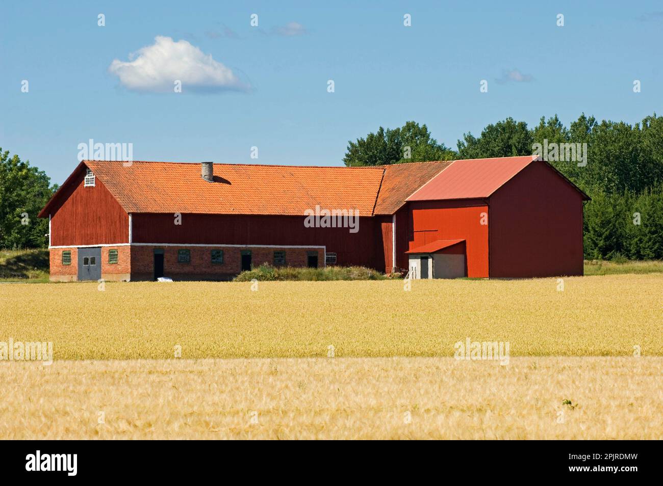 Red barn next to farmland, Sweden Stock Photo - Alamy