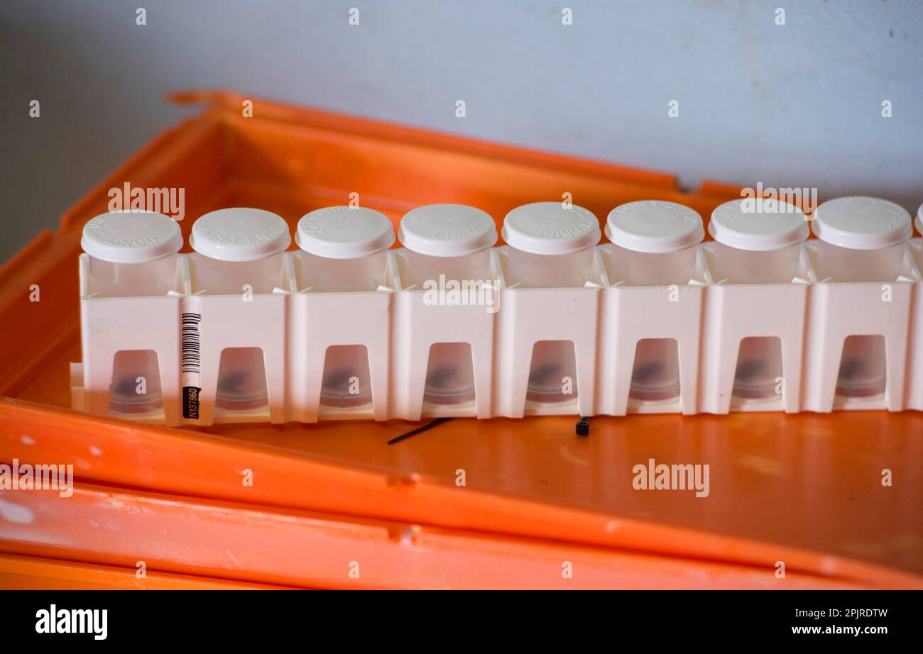 Dairy, National Milk Records sample tubes in farm office, Cheshire ...