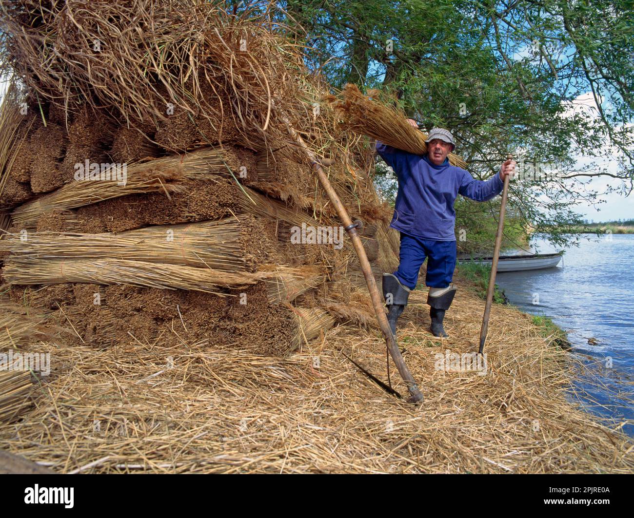 Tailor and cutter hi-res stock photography and images - Alamy