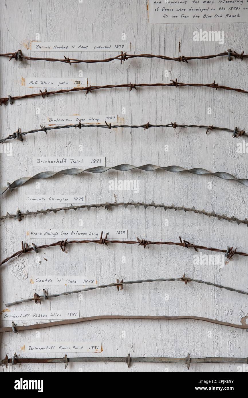 A mounted display of different antique barbed wire fencing varieties ...