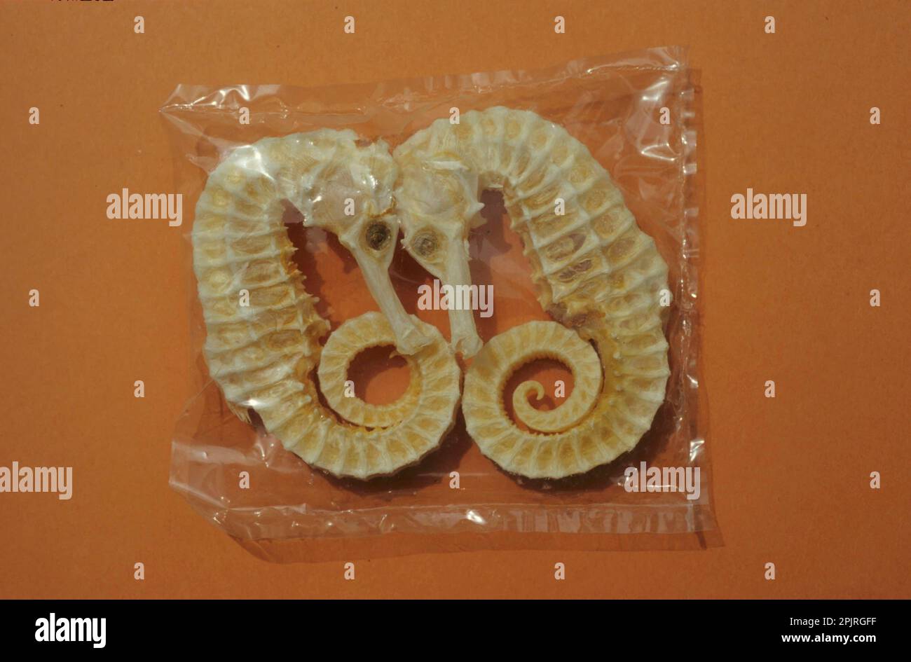 Animal dried hi-res stock photography and images - Alamy