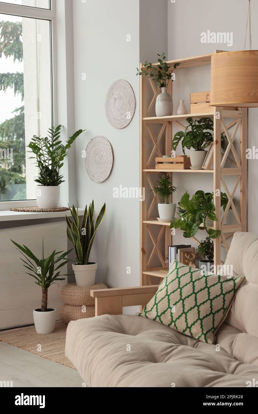 Stylish room interior with beautiful house plants. Home design idea ...