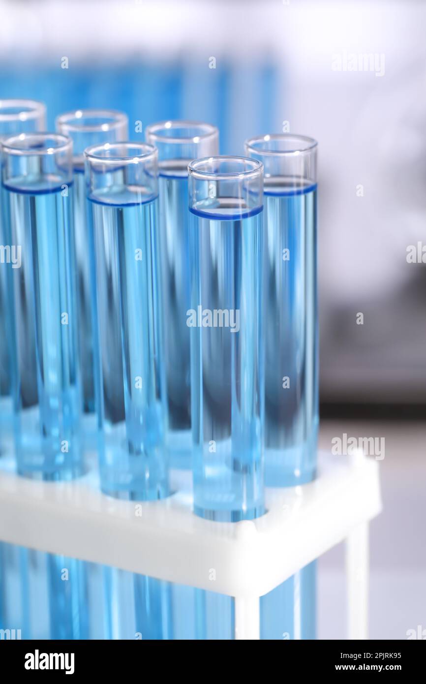 Test tubes with reagents in rack on blurred background, closeup ...