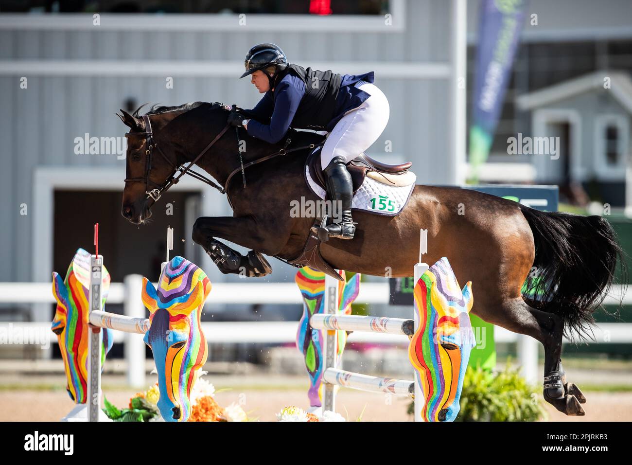 Cara raether carey hi-res stock photography and images - Alamy
