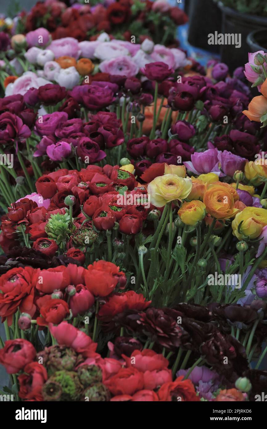 A classic florists arrangement of his offerings at the local market in ...