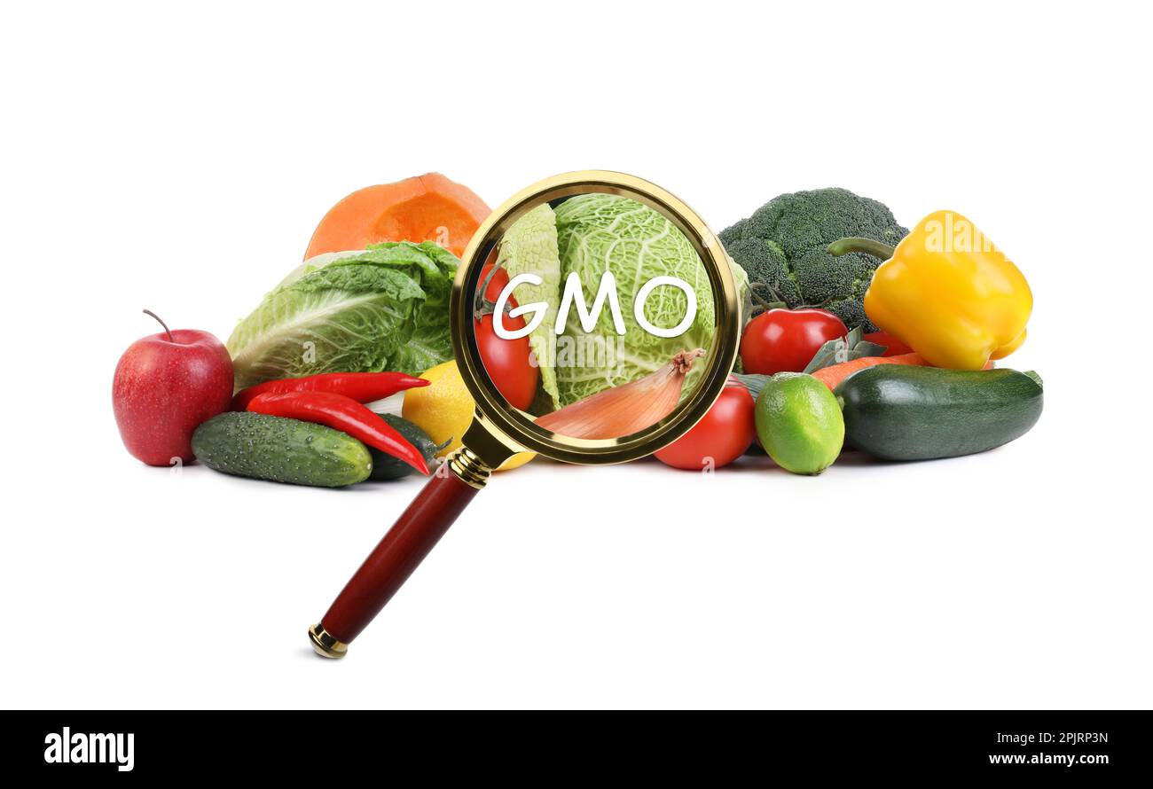 View through magnifying glass on fresh vegetables and fruits against ...