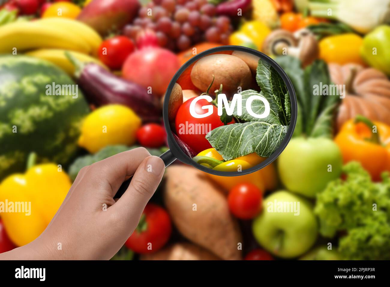 Woman holding magnifying glass over fresh vegetables and fruits ...