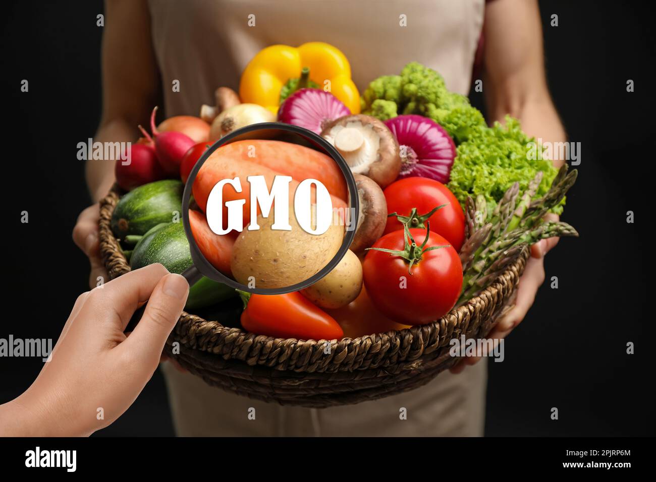 View through magnifying glass on fresh vegetables. GMO concept Stock ...