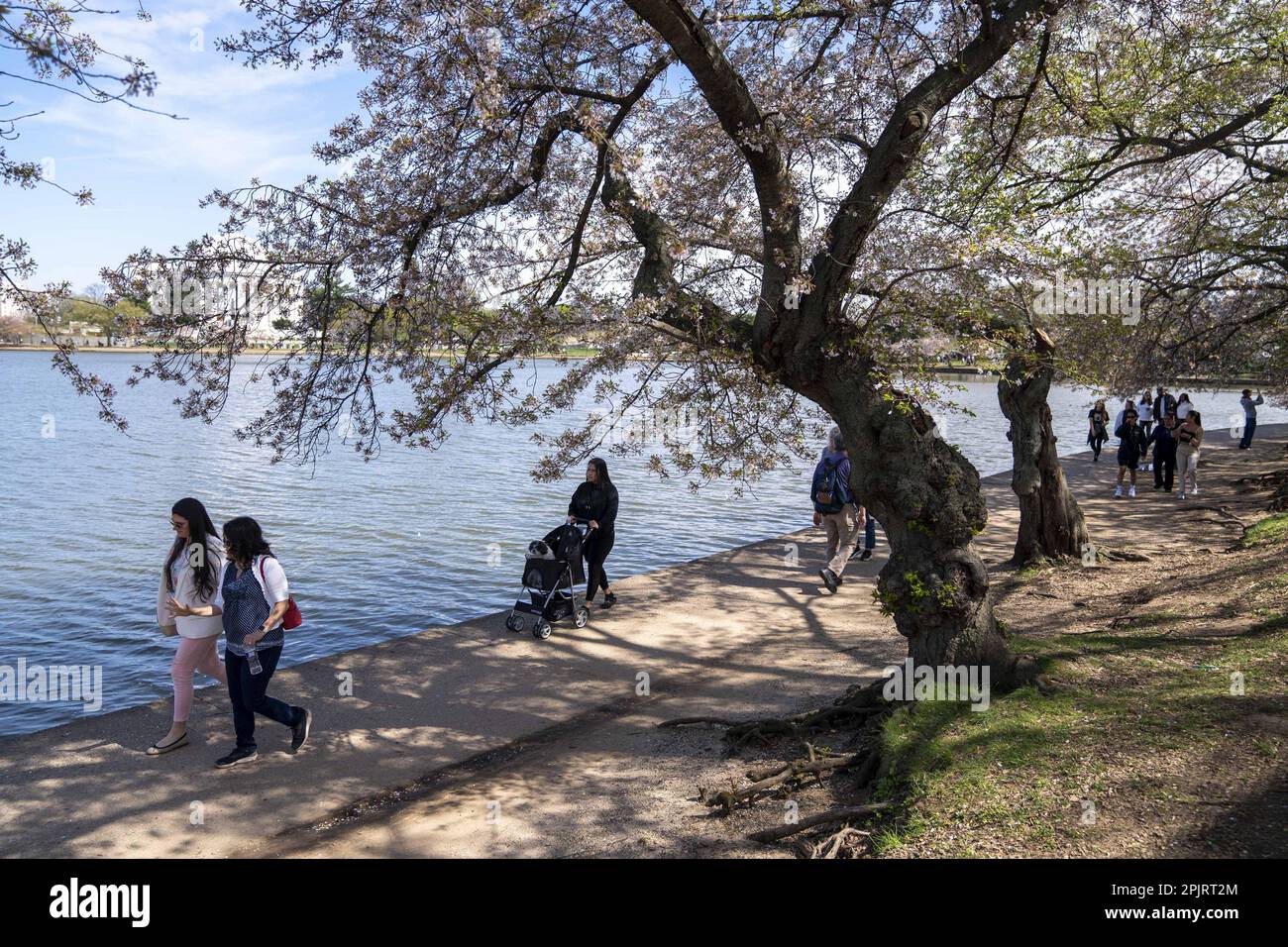 Washington, United States. 03rd Apr, 2023. People walk along the Tidal ...