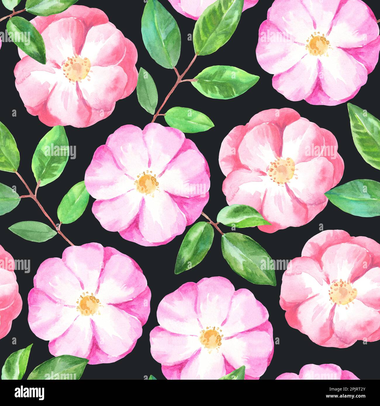 Watercolor seamless pattern with rose hip flowers. Gentle pastel print ...