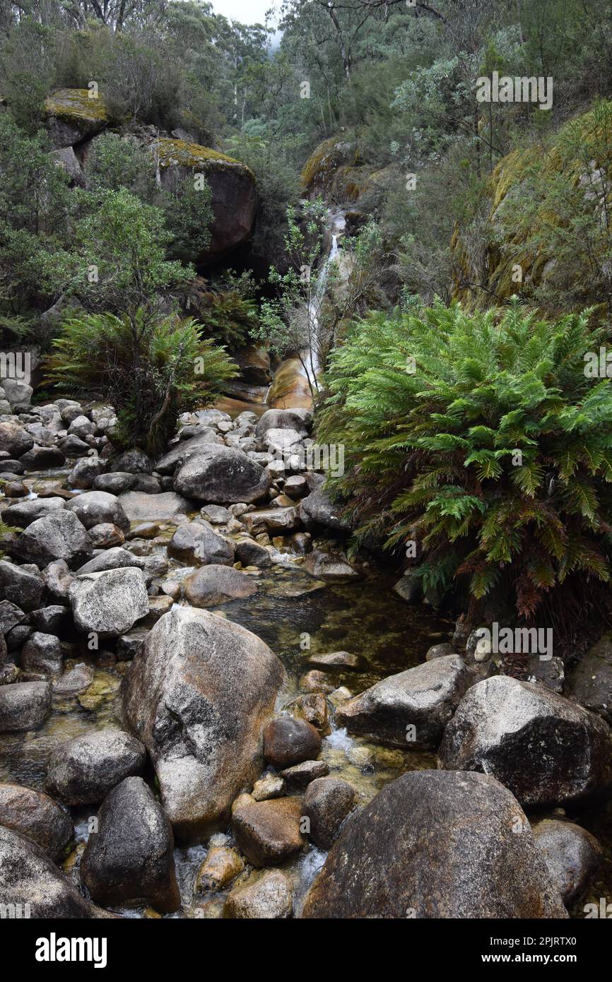 Waterfall at Mount Buffalo Stock Photo - Alamy