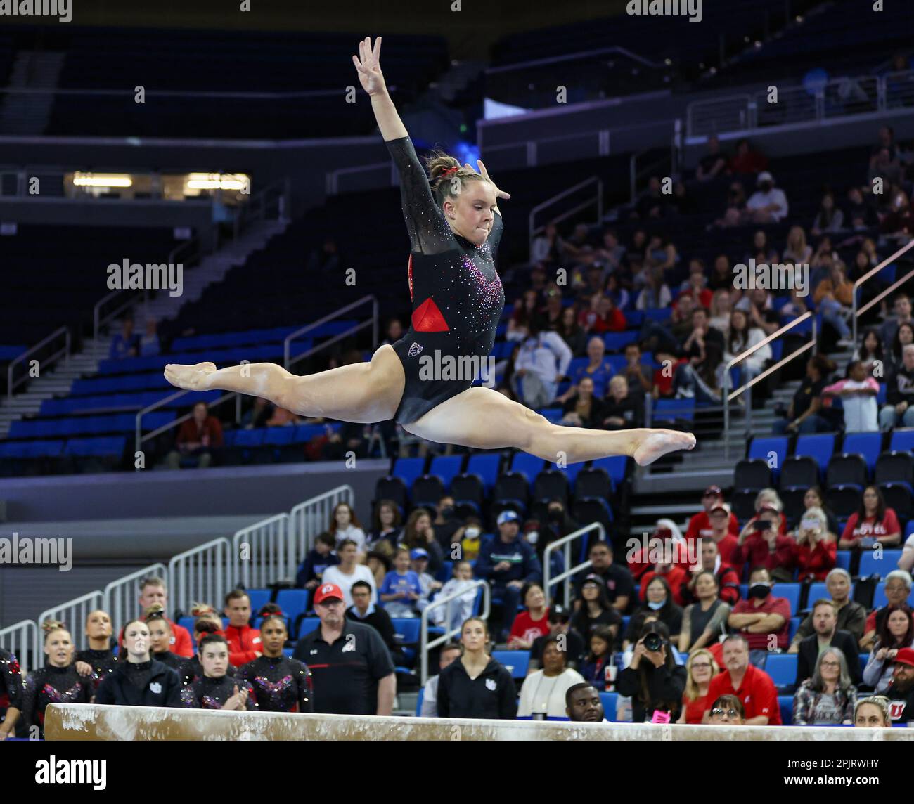Los Angeles, OK, USA. 1st Apr, 2023. Utah's Maile O'Keefe competes on ...
