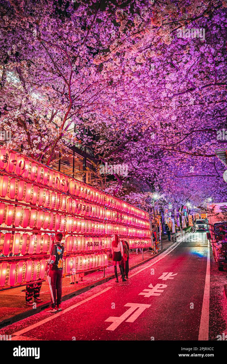 Shibuya Sakuragaoka Sakura Matsuri, Sakura Street - Shibuya ...