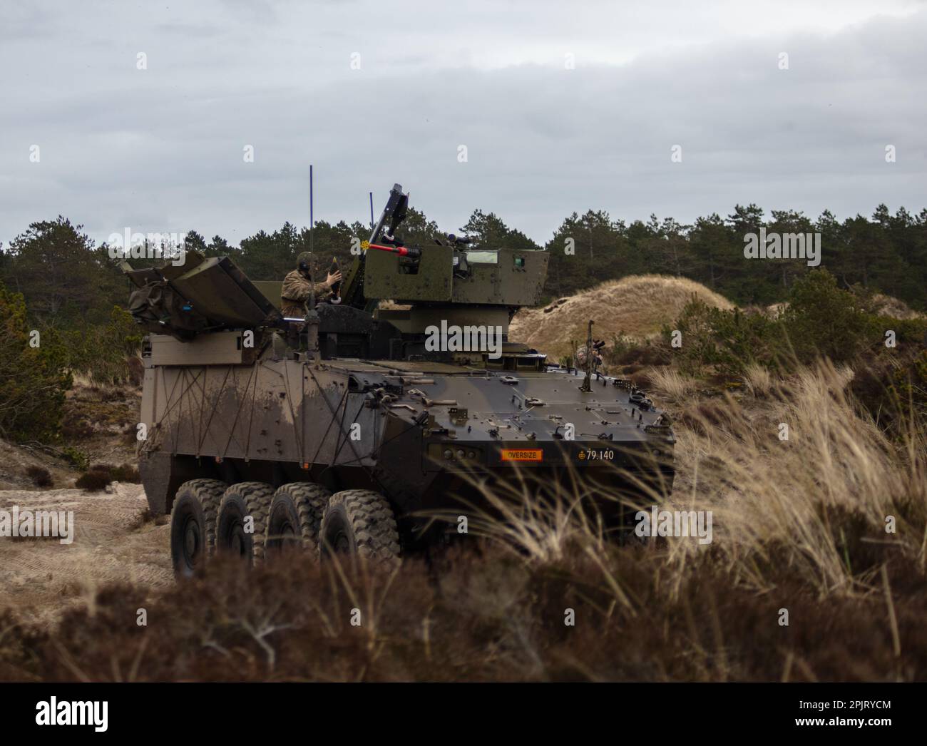 Danish soldiers assigned to the 1st Artillery Battalion conduct live ...