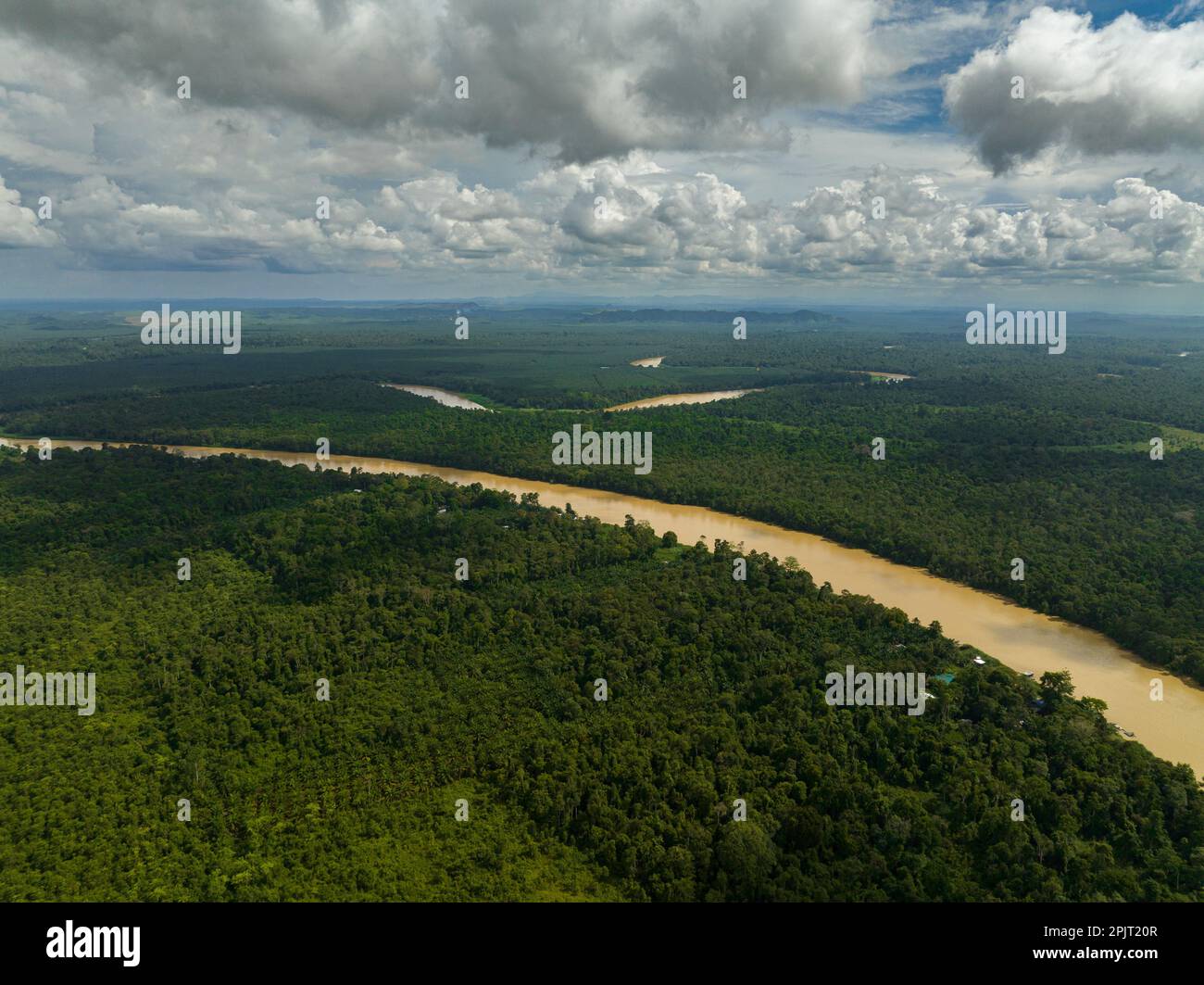 Kinabatangan river among the rainforest and jungle. Borneo, Malaysia ...