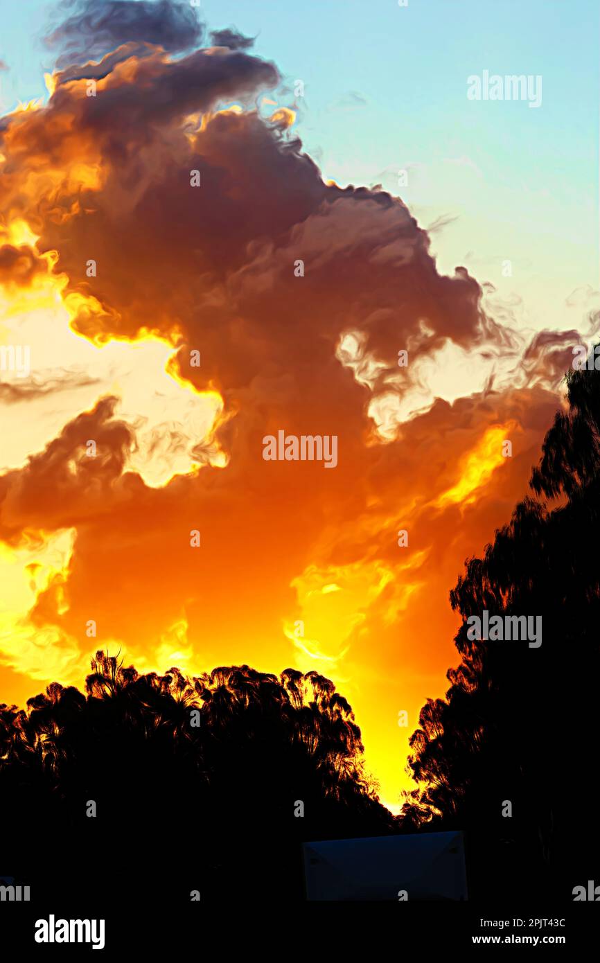 Random images from around the neighborhood. Sunset with clouds and ...