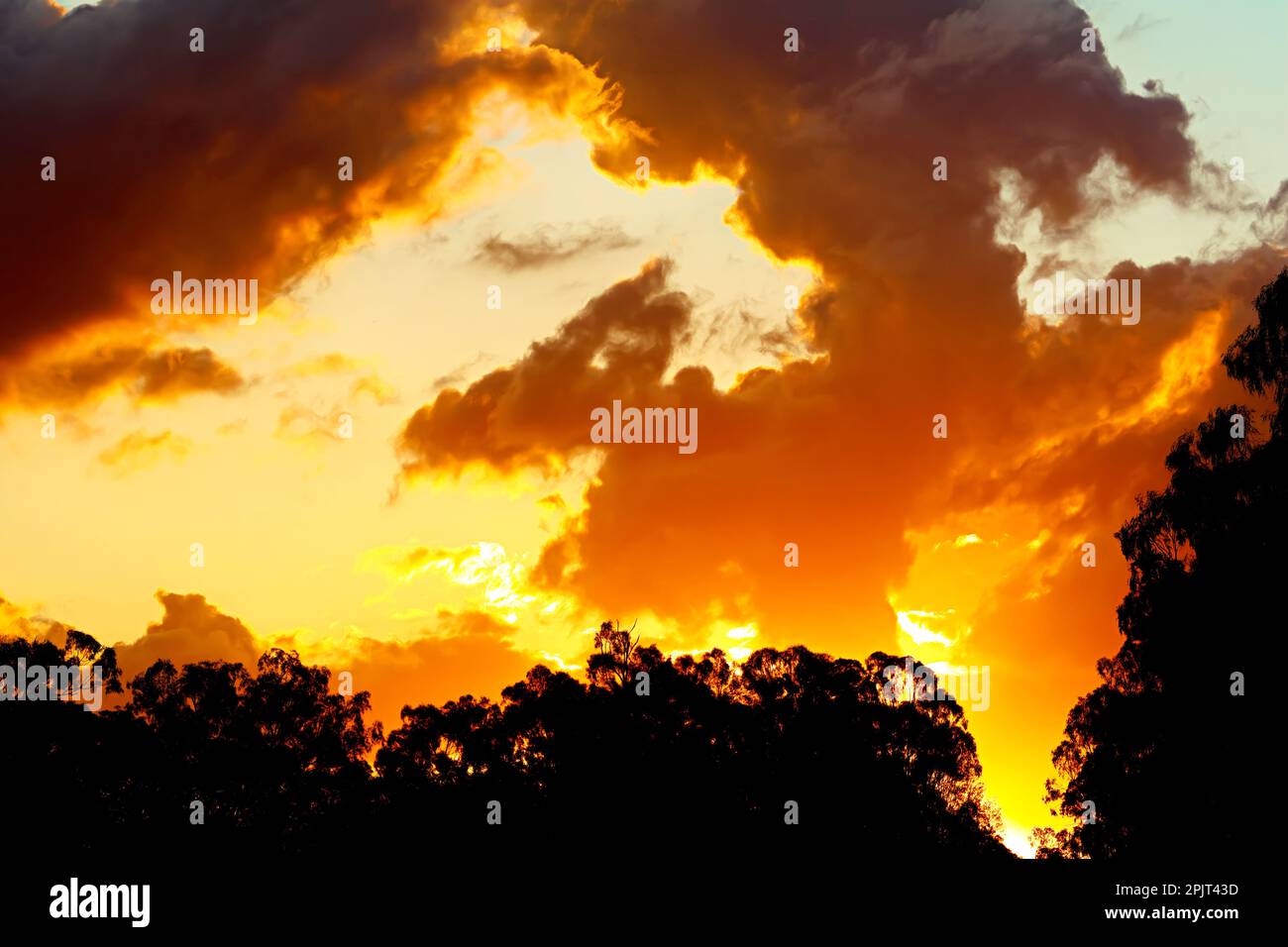 Random images from around the neighborhood. Sunset with clouds and ...