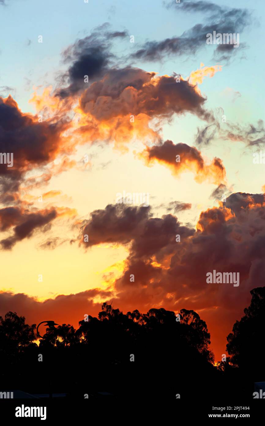 Random images from around the neighborhood. Sunset with clouds and ...