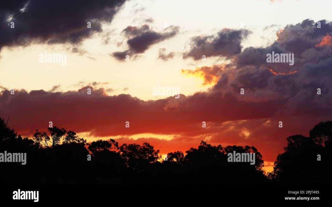 Random images from around the neighborhood. Sunset with clouds and ...