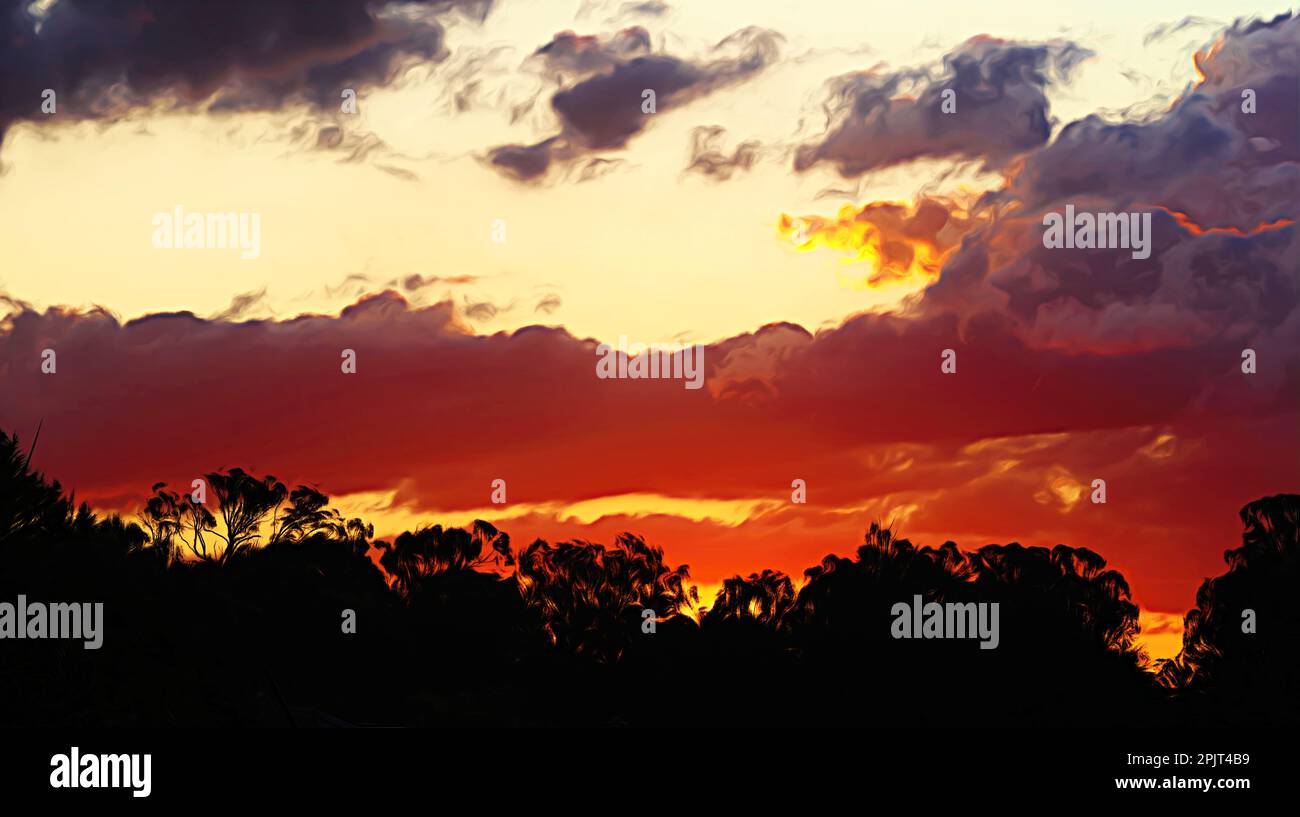 Random images from around the neighborhood. Sunset with clouds and ...