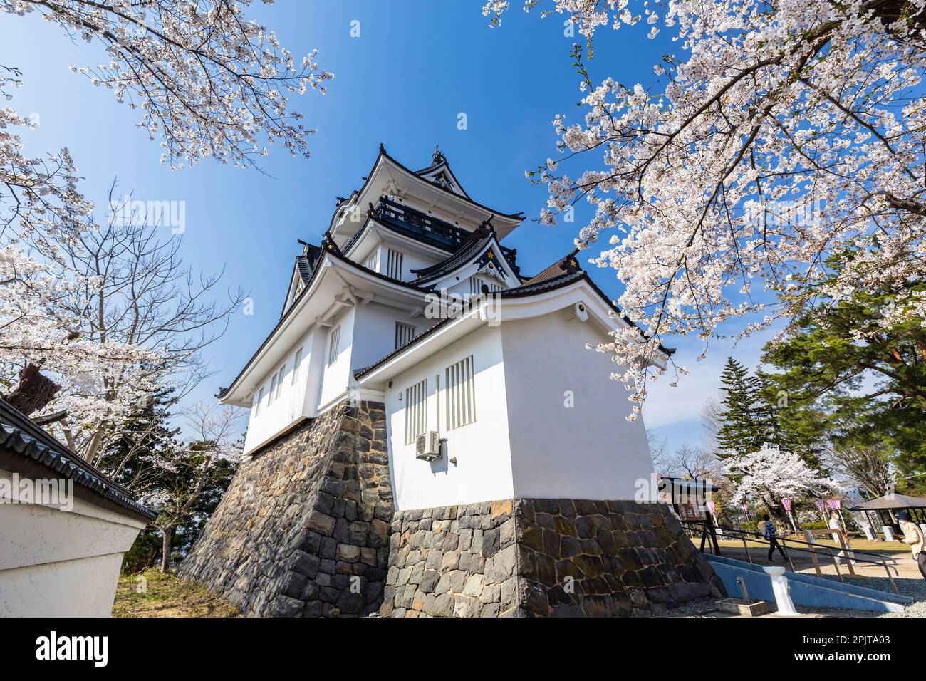 Yokote-jo(Yokote castle), with cherry blossom, Flower festival, Yokote ...