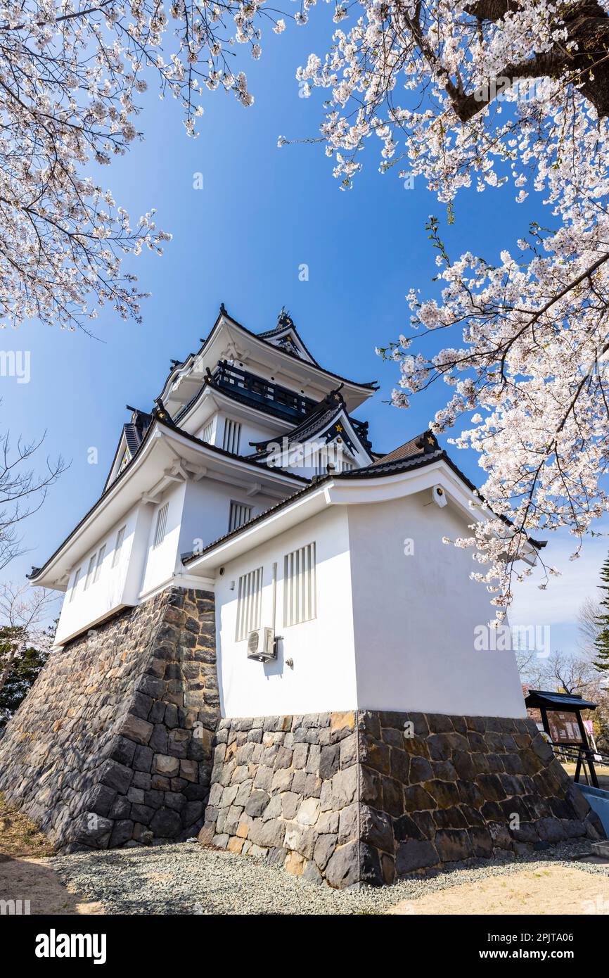 Yokote-jo(Yokote castle), with cherry blossom, Flower festival, Yokote ...