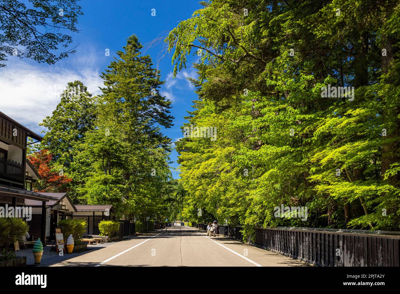 Samurai residence street, with summer green leaves, historical Kakudate ...
