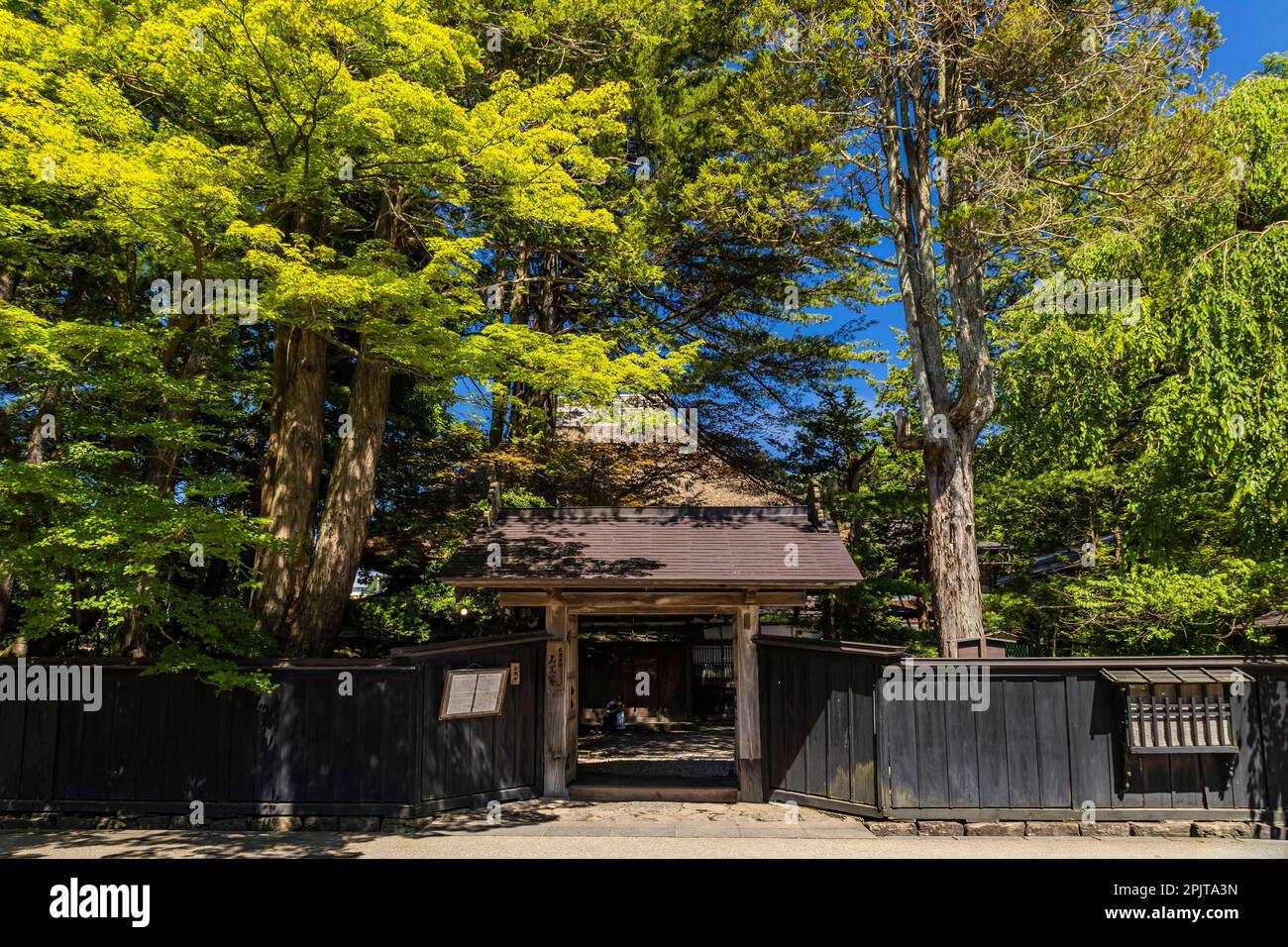 Samurai residence street, with summer green leaves, historical Kakudate ...