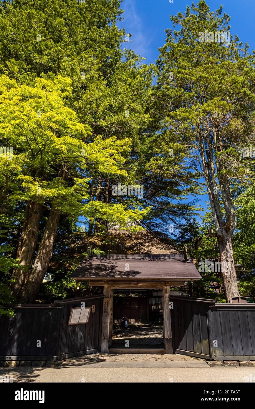 Samurai residence street, with summer green leaves, historical Kakudate ...