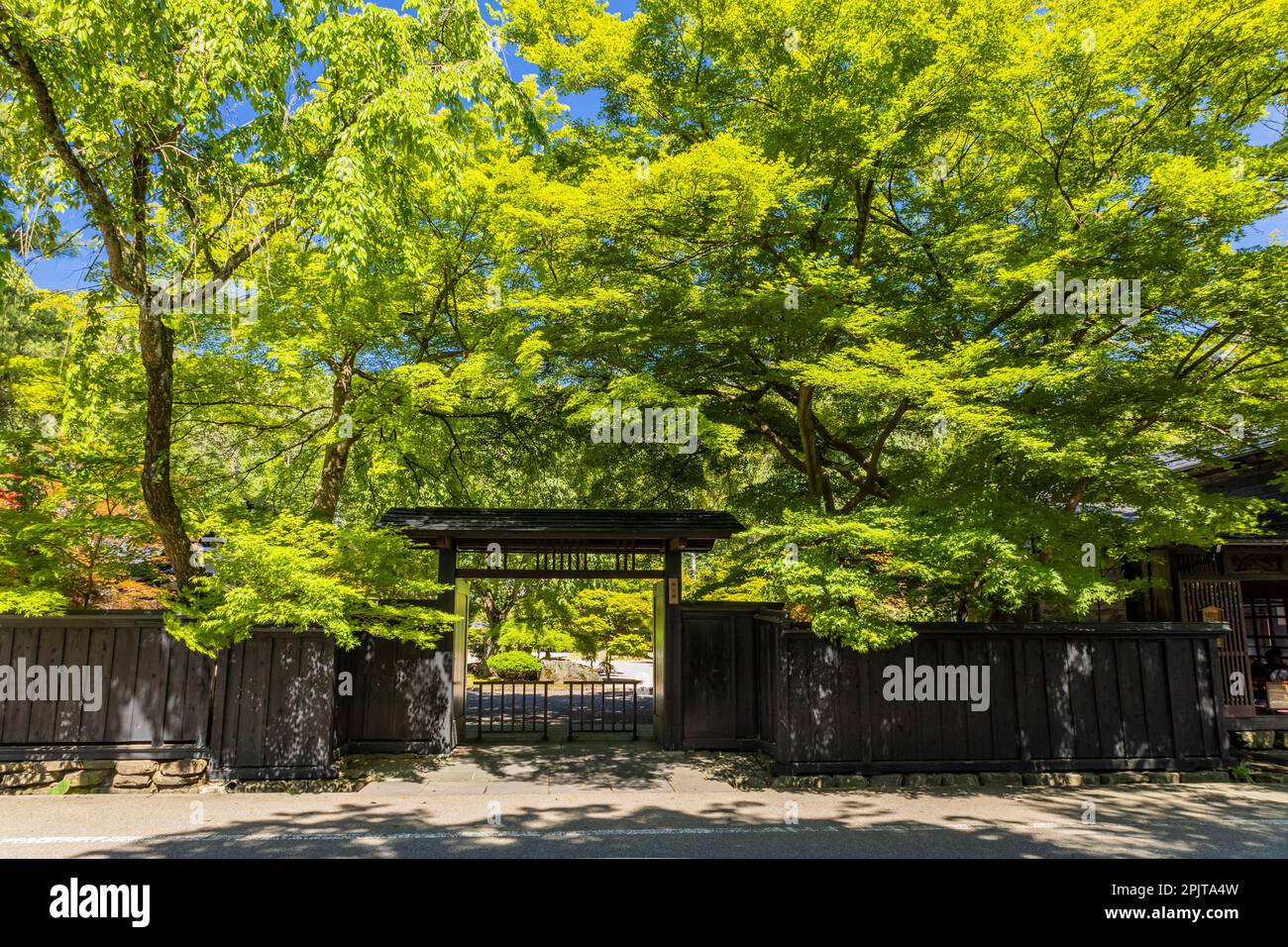 Samurai residence street, with summer green leaves, historical Kakudate ...