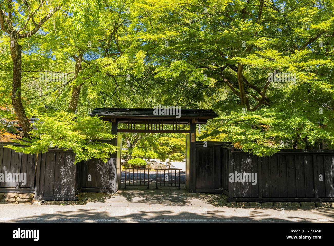 Samurai residence street, with summer green leaves, historical Kakudate ...