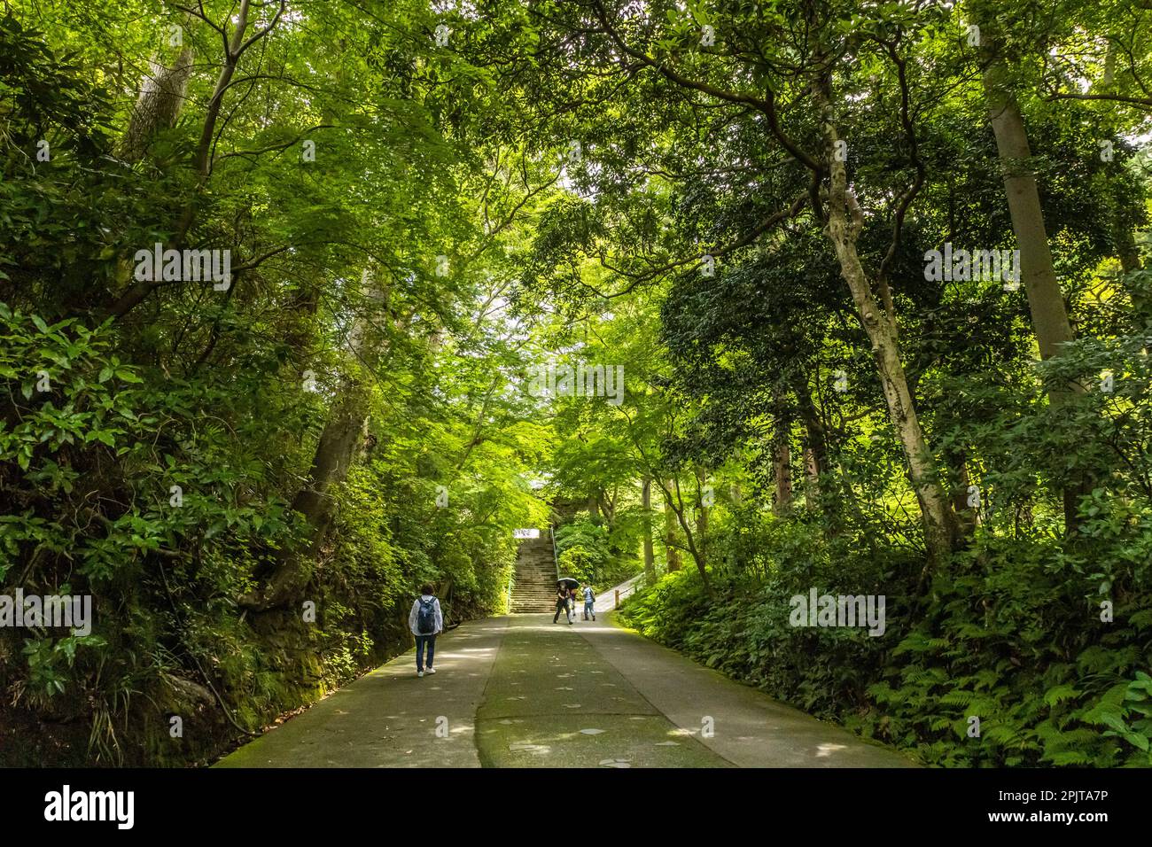 Oze national park, Katashina, Gunma, Japan, East Asia, Asia Stock Photo ...