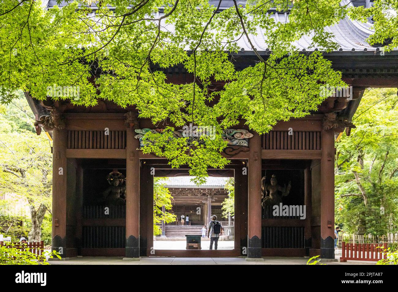 Oze national park, Katashina, Gunma, Japan, East Asia, Asia Stock Photo ...